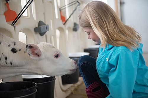 Trans Ova Show Commitment to Livestock Youth