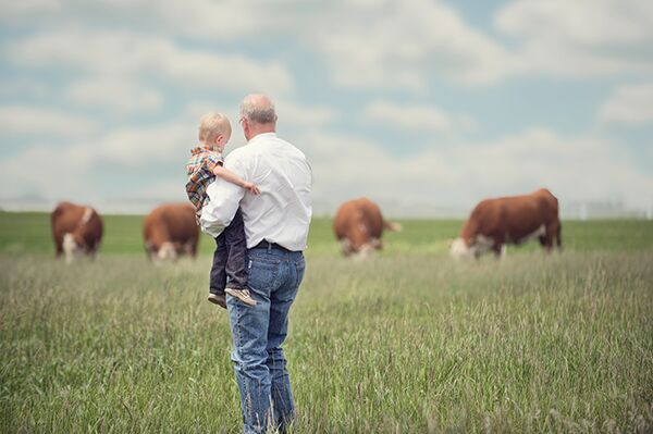 About Trans Ova Genetics | Livestock Reproductive Technologies