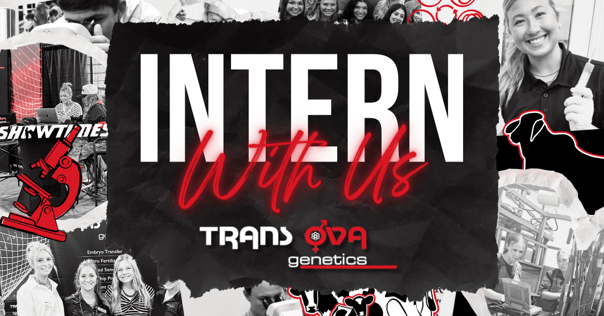 Catapult Your Future Career: Intern with Trans Ova Genetics | Trans Ova ...