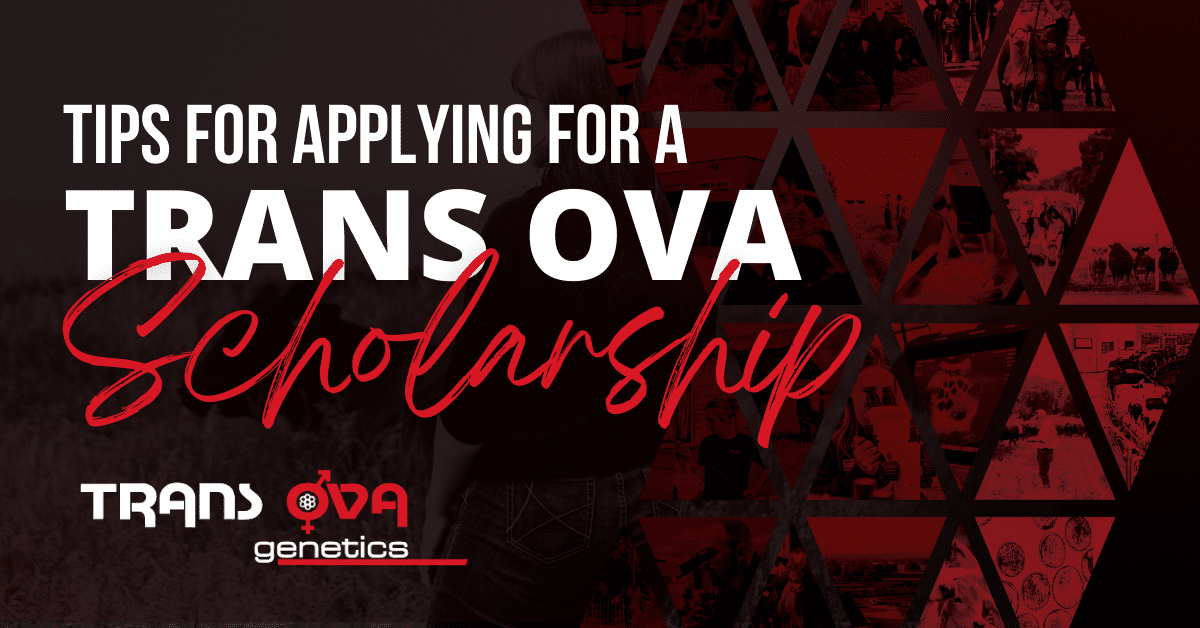 Trans Ova Genetics Scholarship Tips