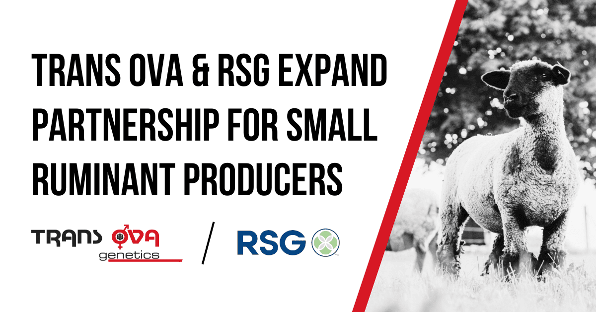 Trans Ova & RSG Expand Partnership Nationwide